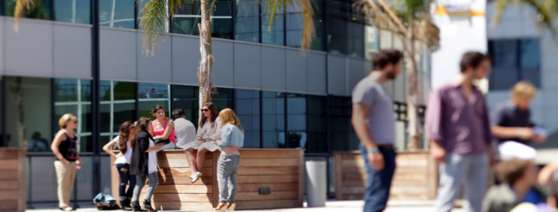 Projet | EDHEC BUSINESS SCHOOL
