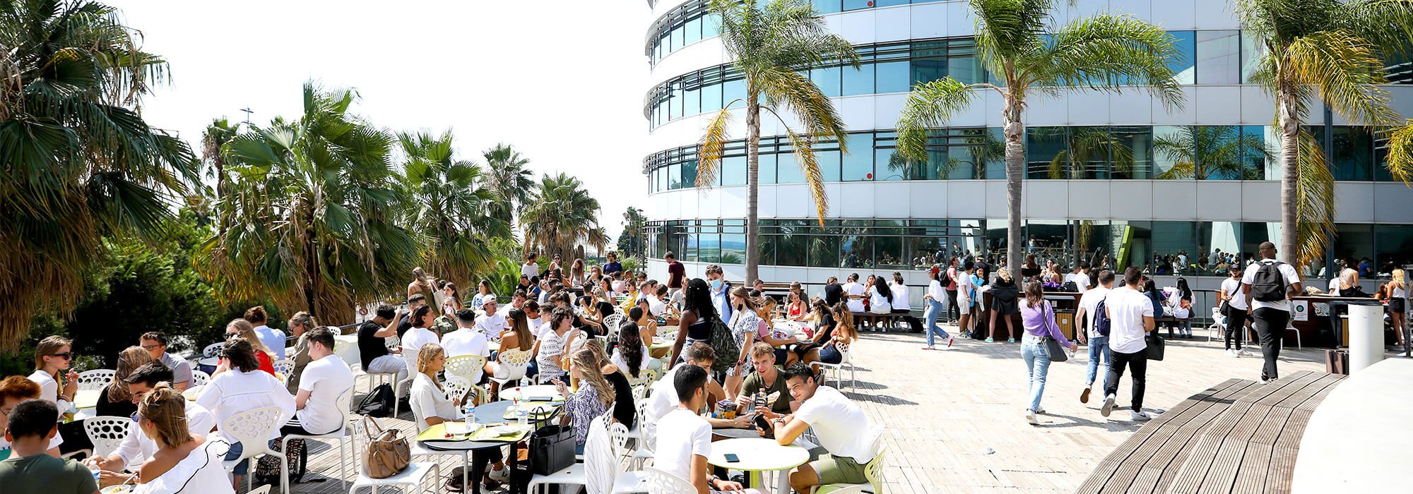 Réseau QTEM, des universités prestigieuse | EDHEC BUSINESS SCHOOL