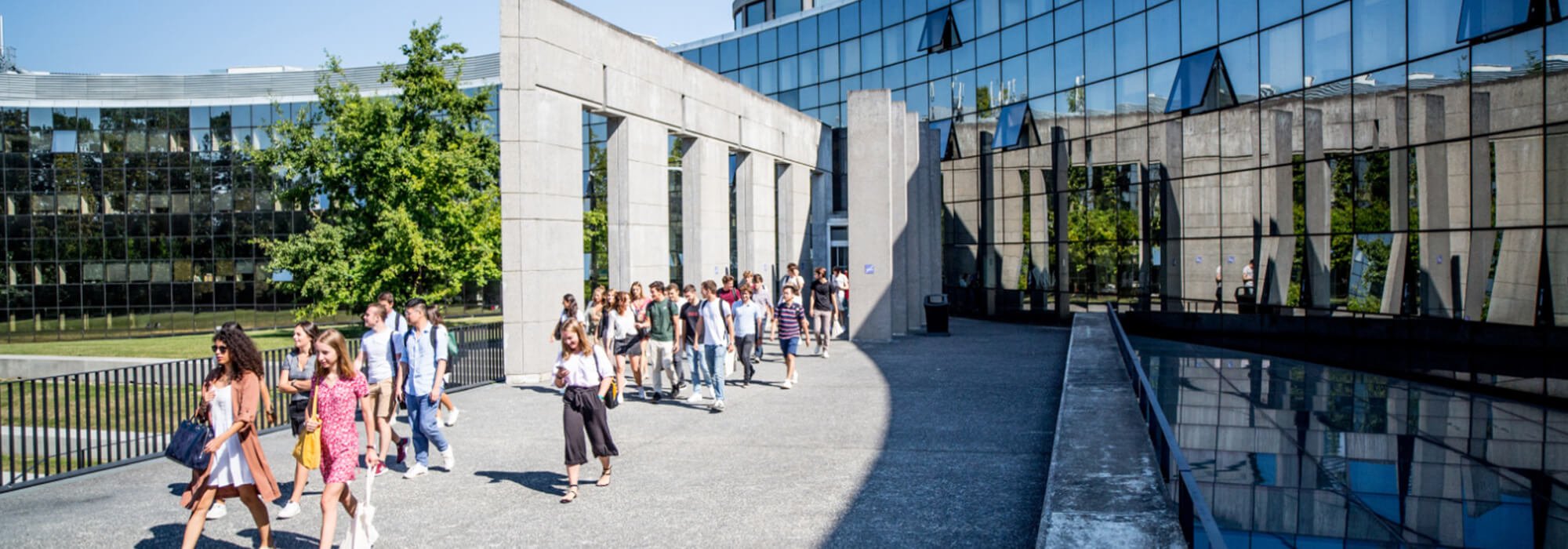 Lille Metropolis Information | EDHEC BUSINESS SCHOOL