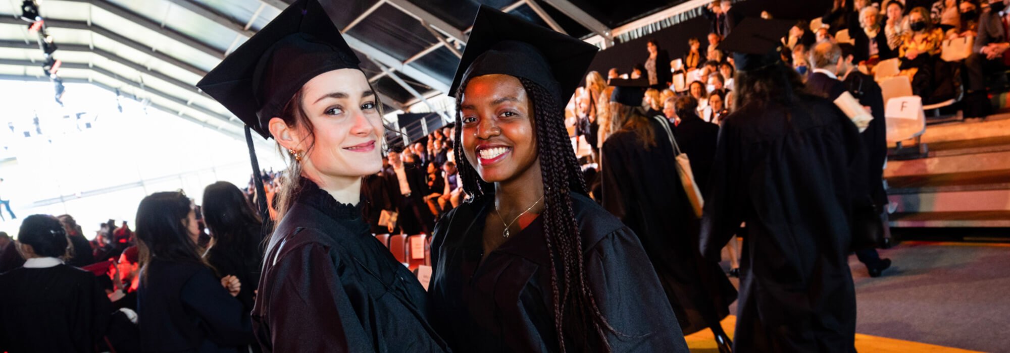 Master in Management